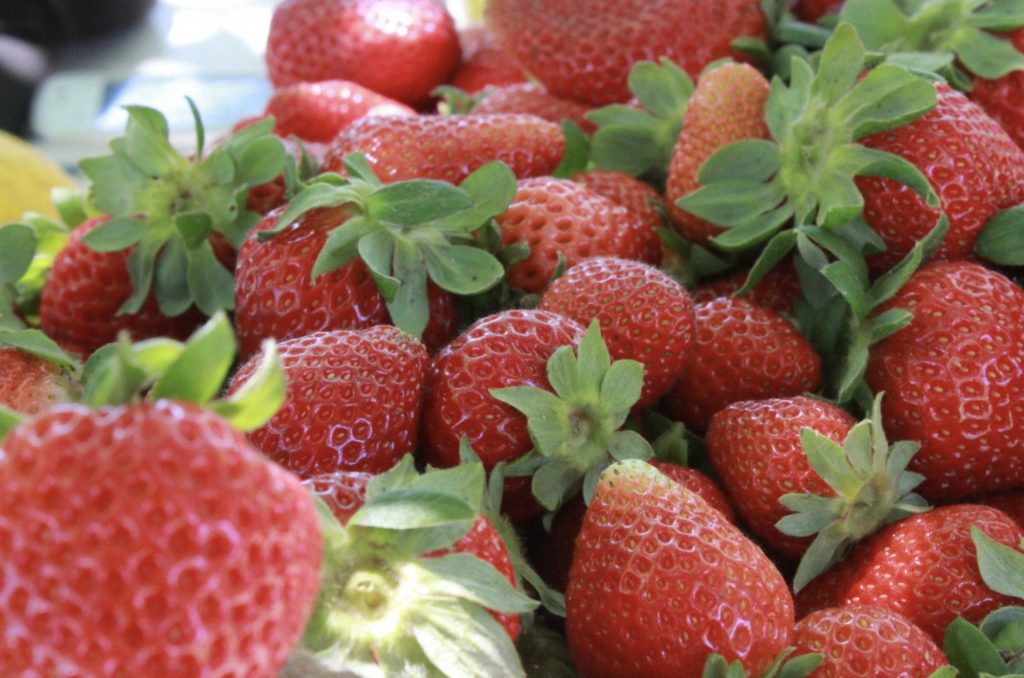 Fragola della Basilicata ottiene il marchio Igp: nuovo traguardo per l ...